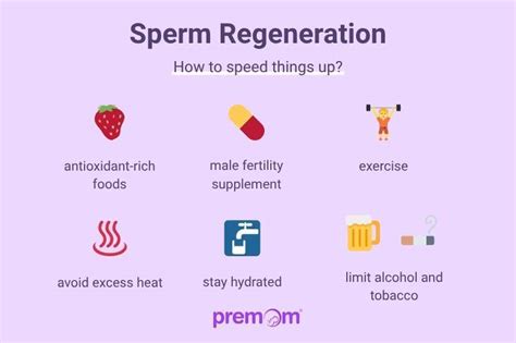 Sperm And Timing Sex For Pregnancy Can Sperm Regenerate In 12 Hours