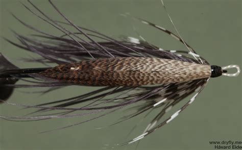 Fly Tying Q A How To Wrap A Turkey Biot With Troubleshooting Artofit