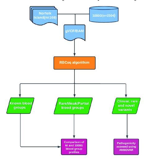 Overview Of The Workflow Used To Characterize Population Specific Blood