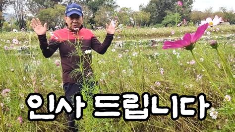 풍성한 한가위 되세요~ Youtube