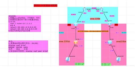 tcne大型网络架构 day03 单区域ospf配置与多区域ospf配置 tcne day03 csdn博客