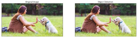 Github Yunwoong7 Object Detection Mobilenetssd Object Detection