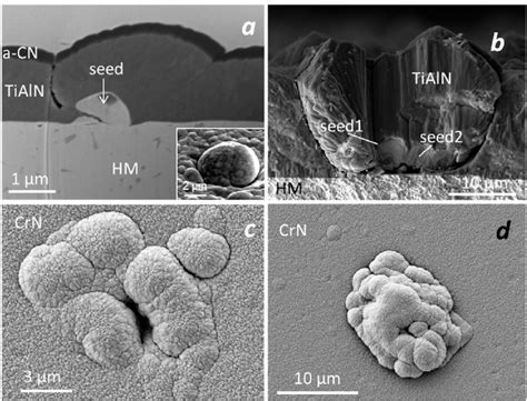The Material Deposited On One Seed Forms A Single Nodular Defect A