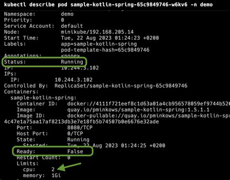 resize cpu limit to speed up java startup on kubernetes piotr s techblog