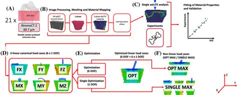 Summarizing The Material And Methods Section A B Attachment