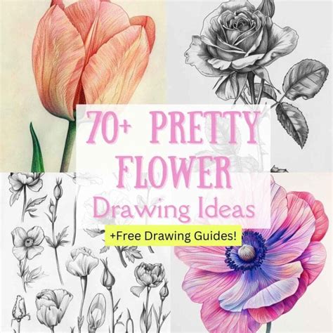 Flower Drawing Ideas Pinterest