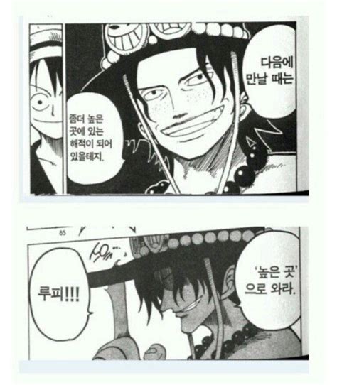 원피스 너무 높이올라간 에이스  유머 움짤 이슈 에펨코리아