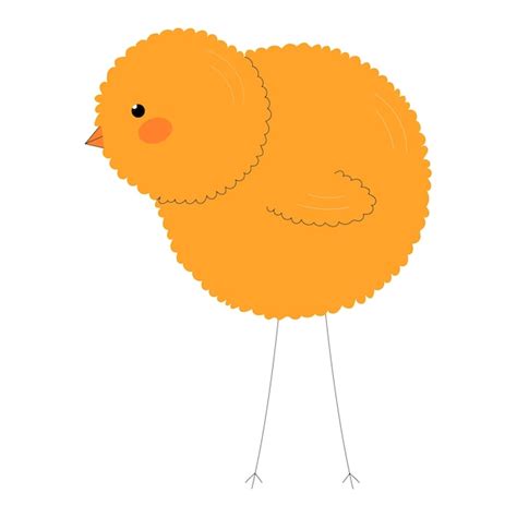 Pollito Dibujado A Mano Con Piernas Largas Vector Premium