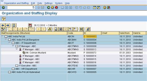 Organizational Management Sap Security Pages