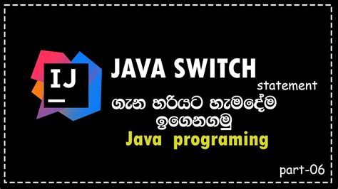 java programming in sinhala control statement switch statement part 06