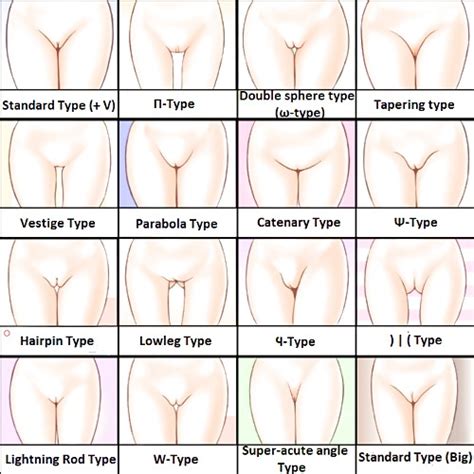 Types Of Pussy Porn Pictures Xxx Photos Sex Images 411902 Pictoa