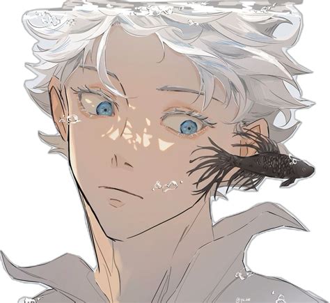 Gojo As A Fish