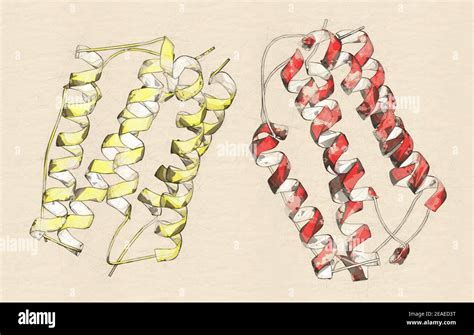 Interferon Beta Protein Cytokine Used To Treat Multiple Sclerosis Ms 3d Rendering Based On