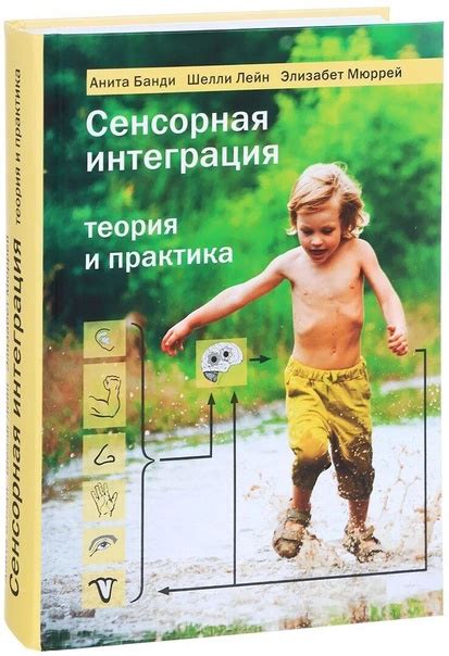 Анита Банди, Шелли Лейн "Сенсорная интеграция. Теория и практика" Еще ...