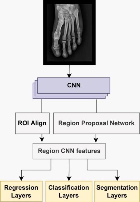 The Two Stages Of The Mask R Cnn Network The First Is The Region