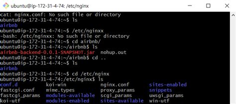 Nginx