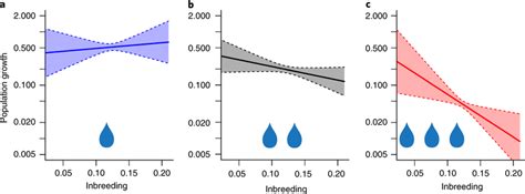 Visualization Of The Estimated Interaction Effects Of Inbreeding And Download Scientific