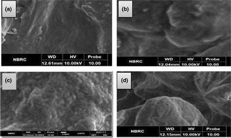 Scanning Electron Micrographs A Sa Mgoh2 Sodium Alginate