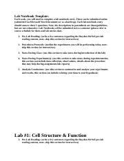 Lab Notebook Template Docx Lab Notebook Template Each Week You Will Need To Complete A Lab