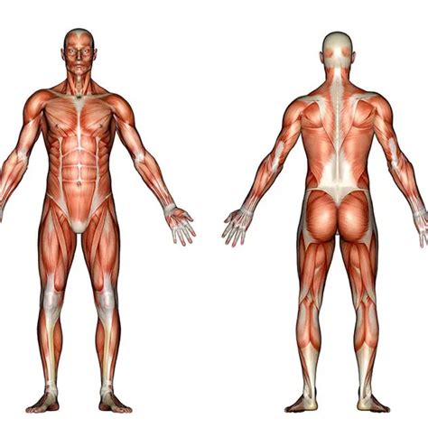 Tissue Viability Short Course Cpd Course
