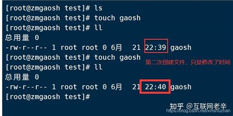 【linux】循序渐进学运维 基础篇 Linux文件管理命令 知乎 【linux】循序渐进学运维 基础篇 Linux文件管理命令 知乎