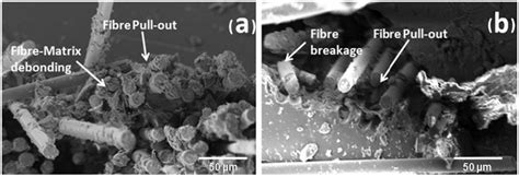 Sem Micrographs Indicating Failure Modes Of Fractured Gfrp Composite