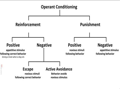 Intro Psych Exam 3 Diagram Quizlet