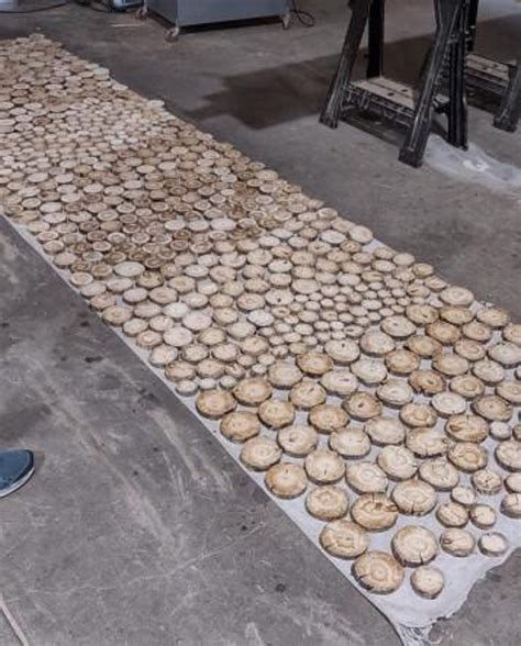 Mixed Log End Grain Wall Cladding Etsy