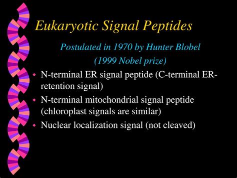 Protein Synthesis And Degradation Ppt Download