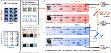The Framework Of The Dscnn And The Training Process Download
