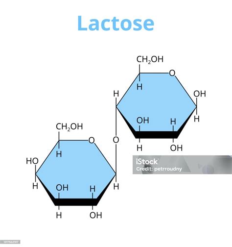 Structure Of Lactose