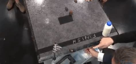 The Indy 500 Cockroach Race With Silly Safaris Fox 59