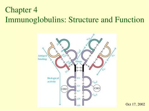 Ppt Chapter 4 Immunoglobulins Structure And Function Powerpoint Presentation Id 4524596
