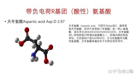 氨基酸结构式与分类 知乎