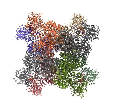Chimerax A Brief Chimerax Tutorial Kpwus Group Research Site