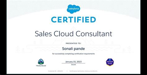 Sonali Pande On Linkedin Certified Salesforcecertified Salesforce Salescloud 10 Comments