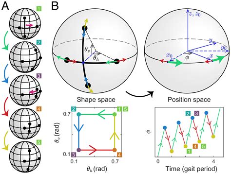 Robotic Swimming In Curved Space Via Geometric Phase Pnas