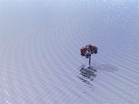 Hex Tree Rbryce3d Hex Tree Rbryce3d