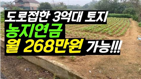 도로접한 3억대 토지 농지연금 월 286만원 가능 Youtube