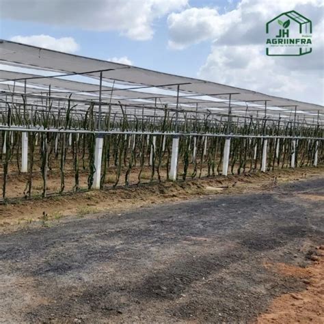 Prefab Trellising System With Shade Netting System For Dragon Fruit Orchard At ₹ 400 Square