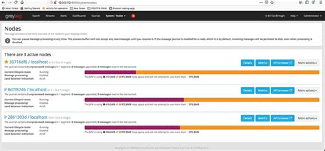 Unable To See Node Hostname In Cluster Graylog Central Peer Support