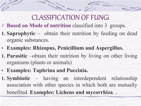 General Characteristics And Classification Of Fungi Ppt