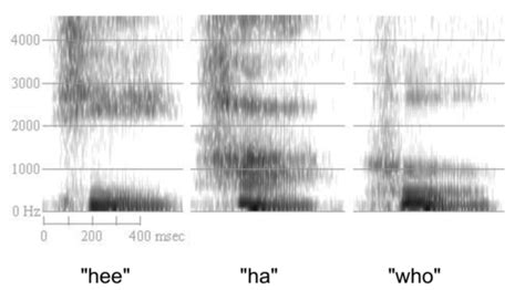 Consonants Part 2 Flashcards Quizlet