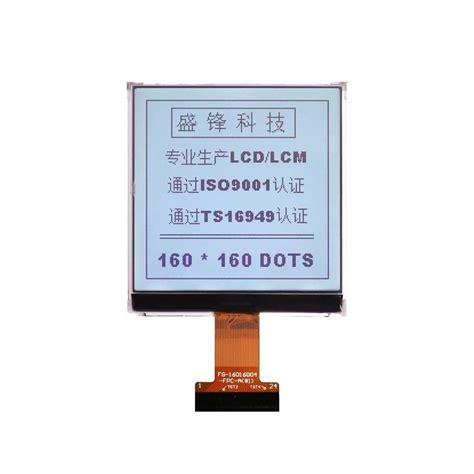 China Graphic LCD Module Dot Matrix LCD COG Module Supplier