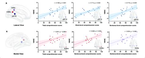 Associations Between Speech Comprehension And Regional Download Scientific Diagram