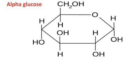 Biology Topic Monosaccharides Carbohydrates Flashcards Quizlet
