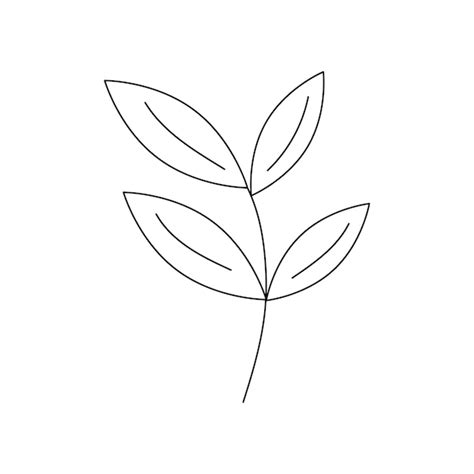 Premium Vector Hand Drawn Twig With Leaves In Line Art Doodle Style