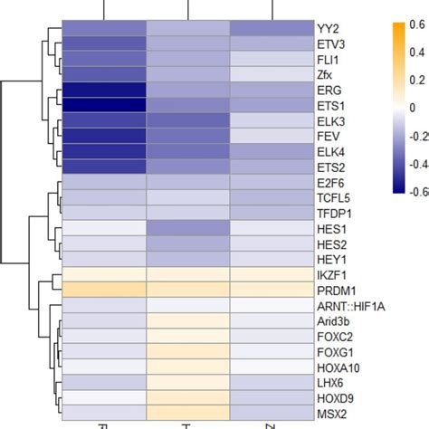 Of Common Shared Over And Under Represented Transcription Factors Dna Download Scientific