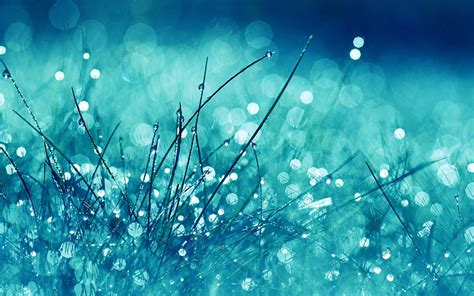 Teal Wallpapers 70 Images