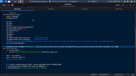 Sending IP Packet With Raw Socket In Python Stack Overflow